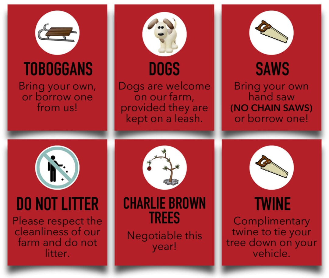 christmas-tree-rules-elliott-tree-farm