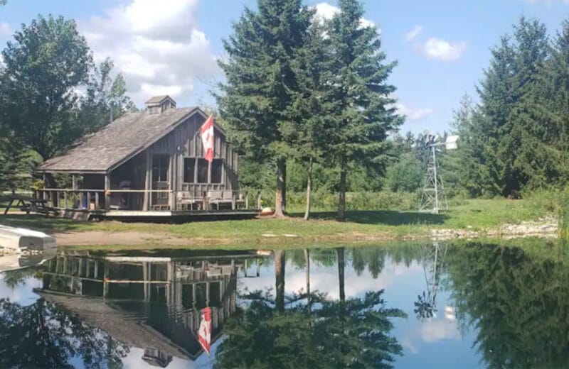 Welcome to Elliott Tree Farm | Elliott Tree Farm