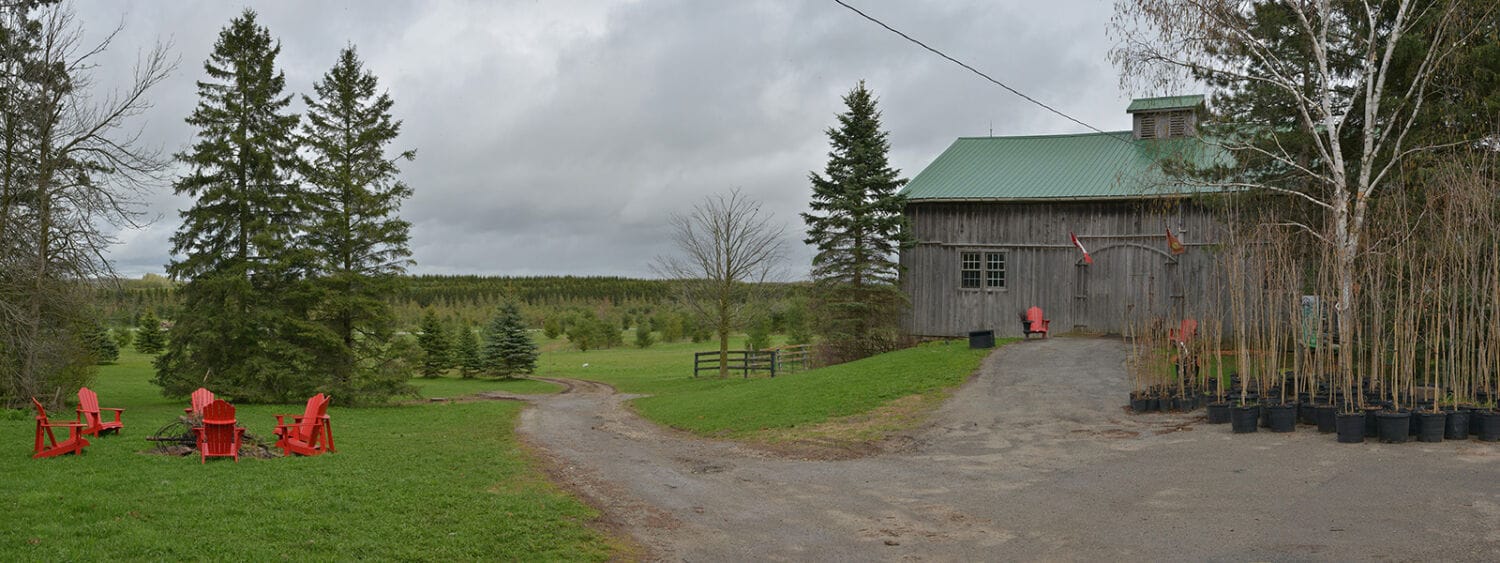 Location Library | Elliott Tree Farm