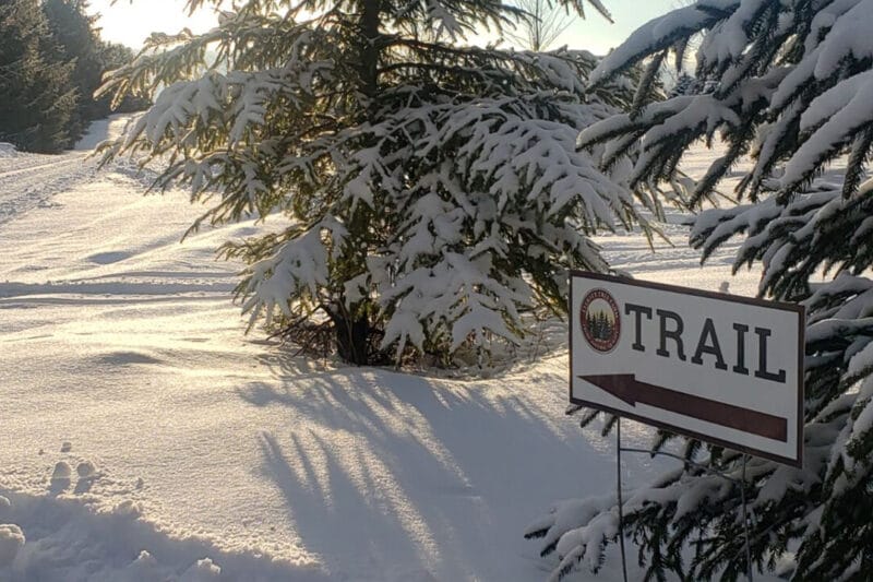 Welcome to Elliott Tree Farm | Elliott Tree Farm