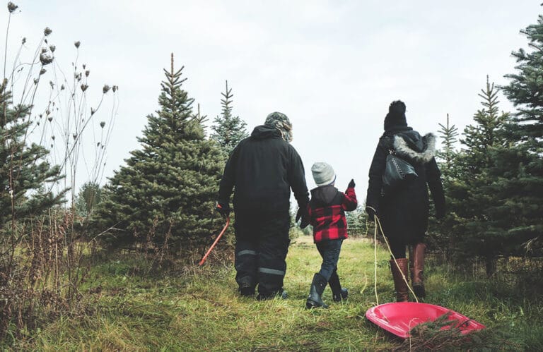 Welcome to Elliott Tree Farm | Elliott Tree Farm