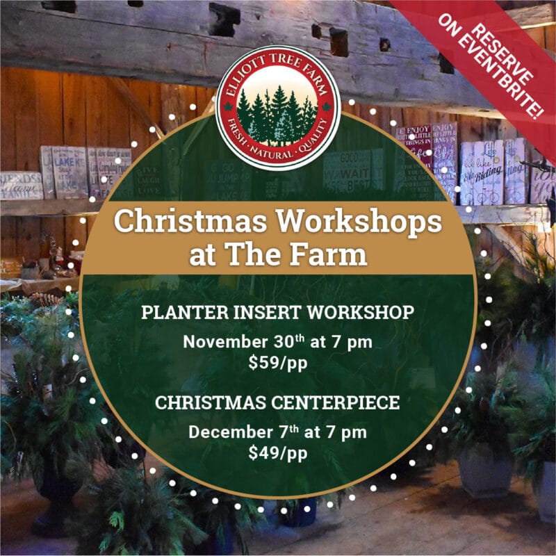 Christmas Workshops | Elliott Tree Farm