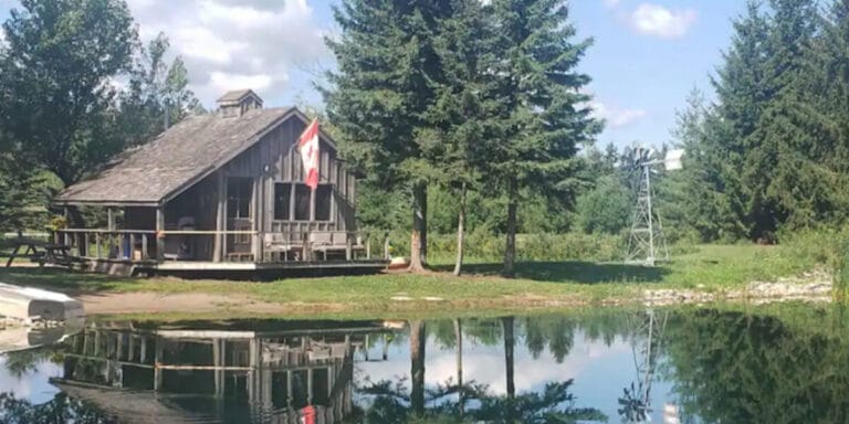 Welcome to Elliott Tree Farm | Elliott Tree Farm
