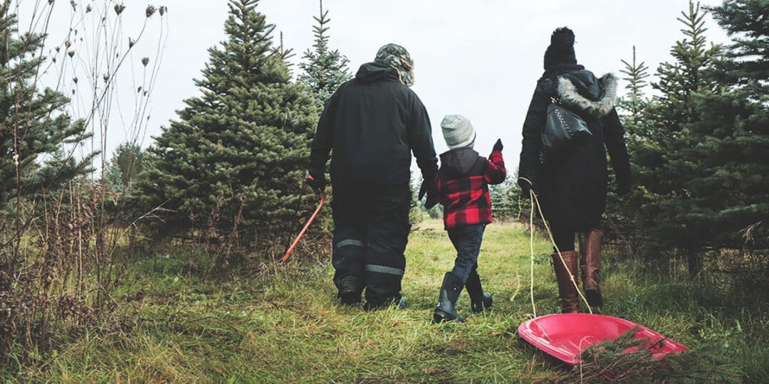 Welcome to Elliott Tree Farm | Elliott Tree Farm