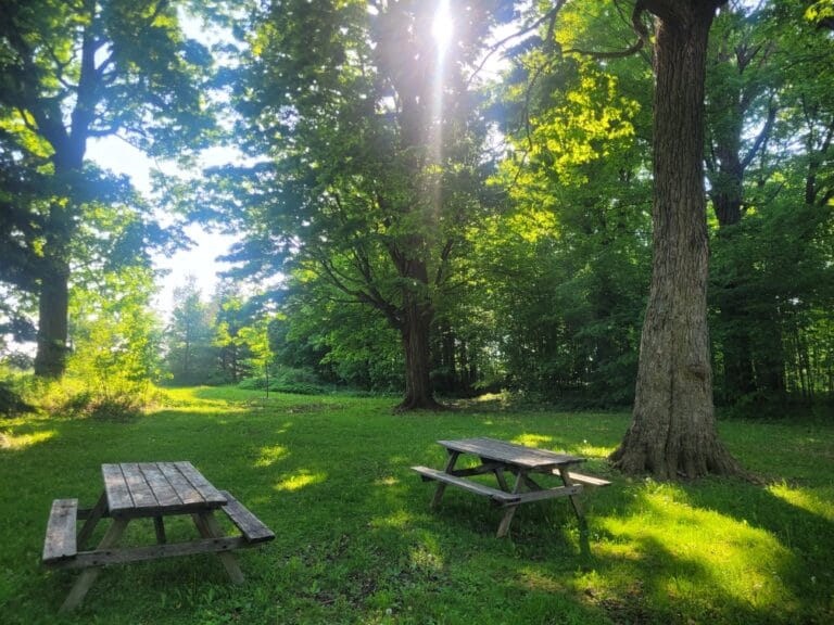 Maple Syrup Museum of Ontario | Elliott Tree Farm