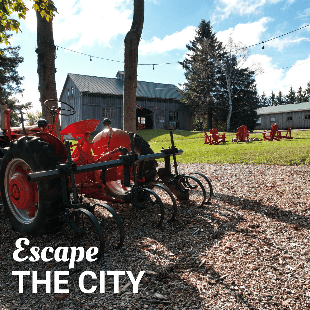 Fun Nature-Filled Day Trips near Toronto | Elliott Tree Farm Maple ...
